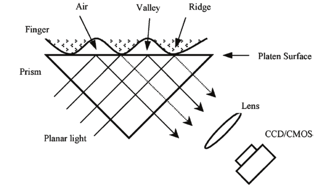 How Fingerprint Scanners Work on Smartphones: Types and Security ...