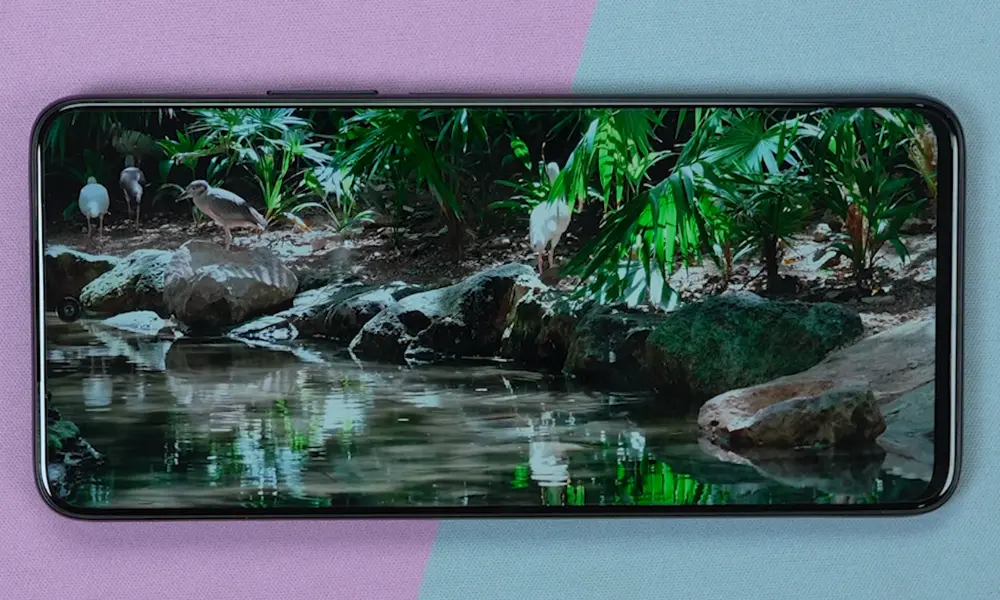 Honor X9c Smart Review: Should You Buy It in Bangladesh?