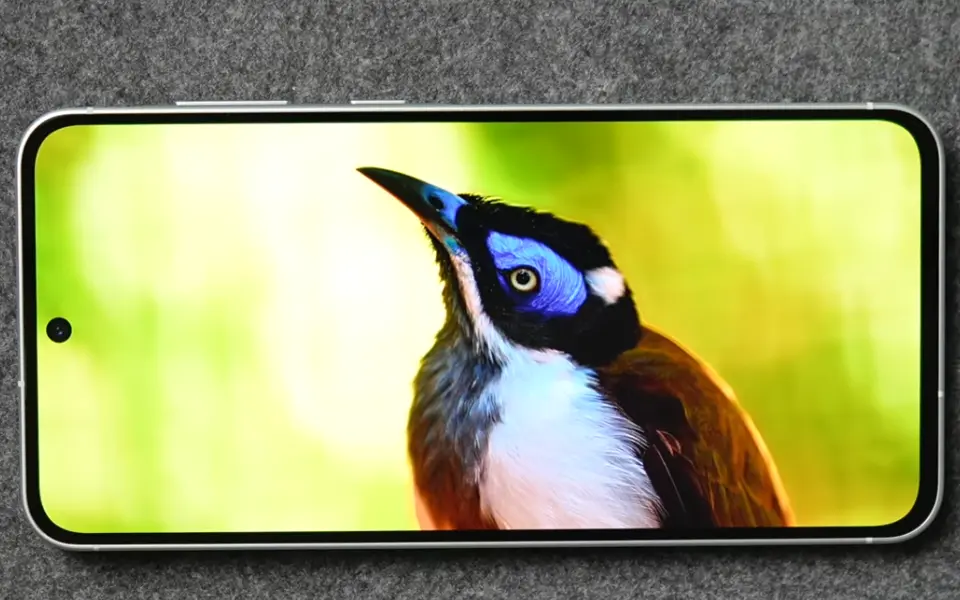 Samsung Galaxy A56 Review: How does it Compare to Rivals?