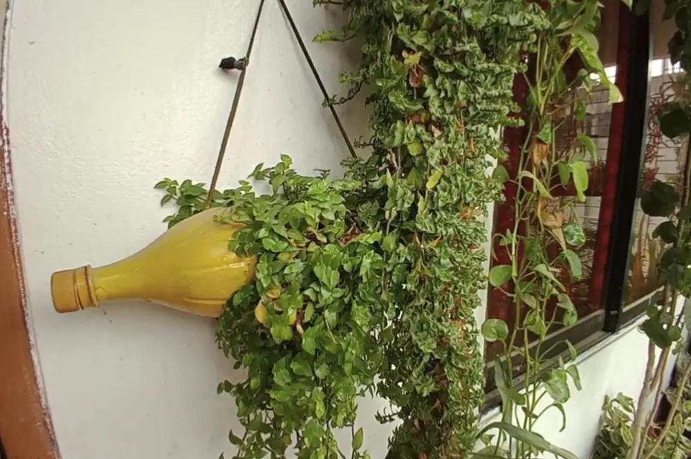 Symphony Z72 Review: Can it Meet Your Daily Smartphone Needs?